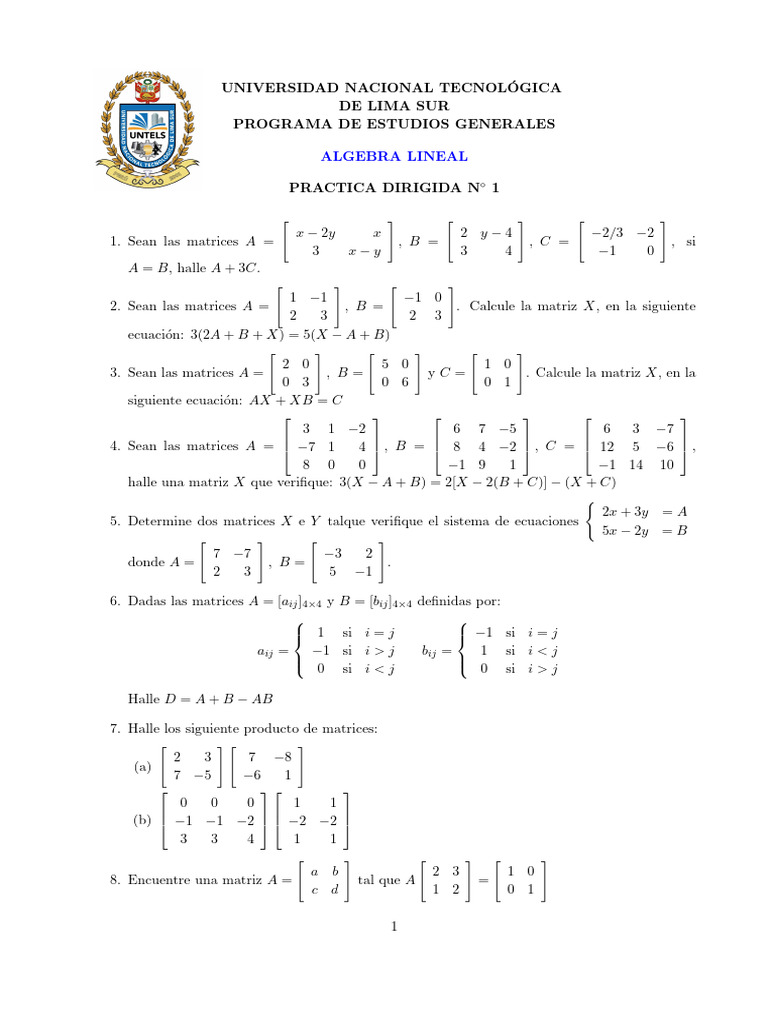 Practica Dirigida N 1 | PDF | Matriz (Matemáticas) | Matemáticas