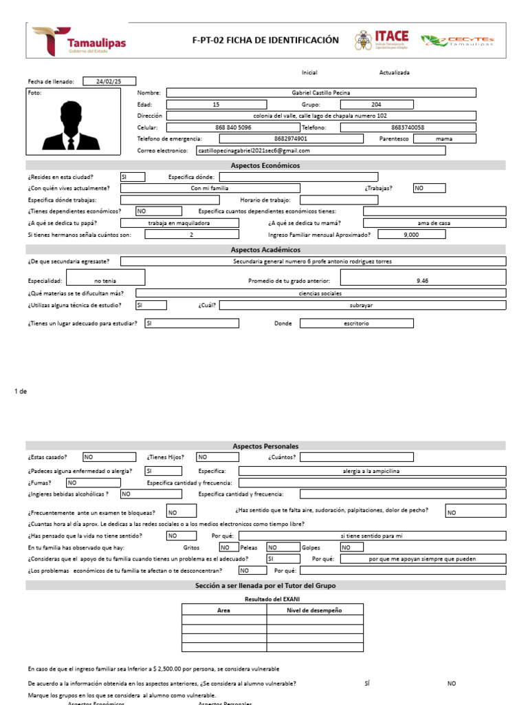 Gabriel Castillo Pecina - Ficha de Identificación - Tutores - Ficha de ...
