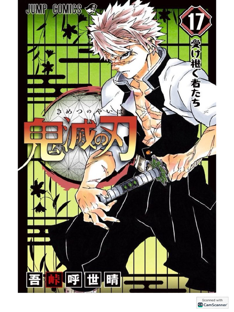 Tomo17 Demon Slayer | PDF