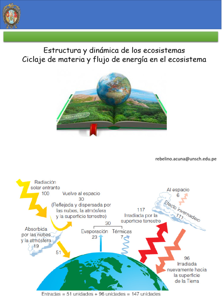 Estructura y Dinámica de Los Ecosistemas Ciclaje de Materia y Flujo de Energía en El Ecosistema ...