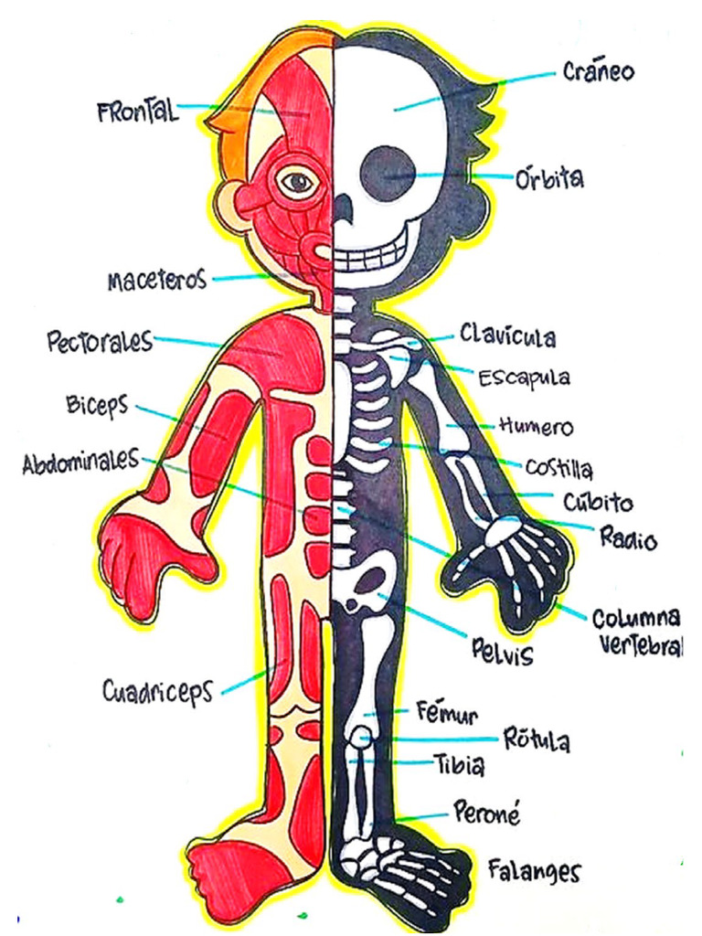 Maqueta Ver | PDF