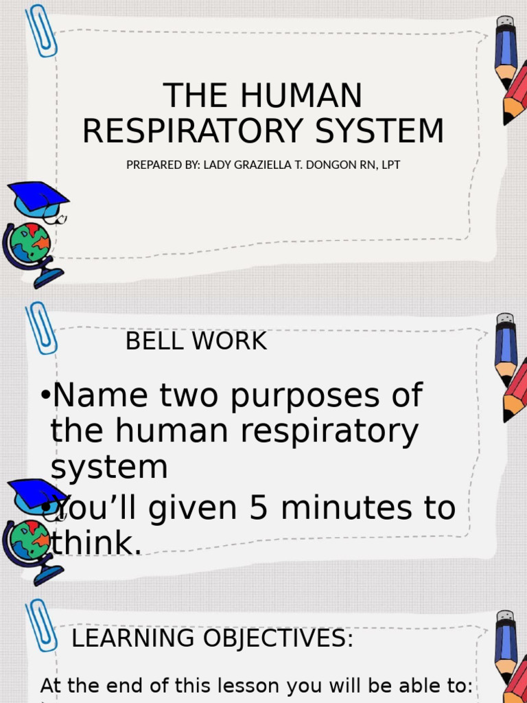 The Human Respiratory System 1 | PDF | Respiratory System | Lung