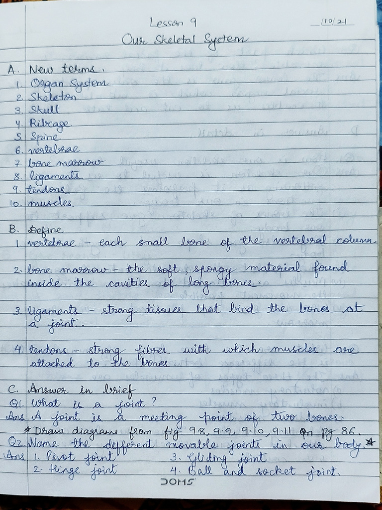 CH - 9 - Skeletal - System - Class - 5 2 | PDF