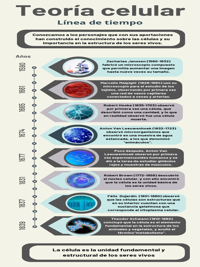 Teoría Celular | PDF | Microscopio | Biología Celular)