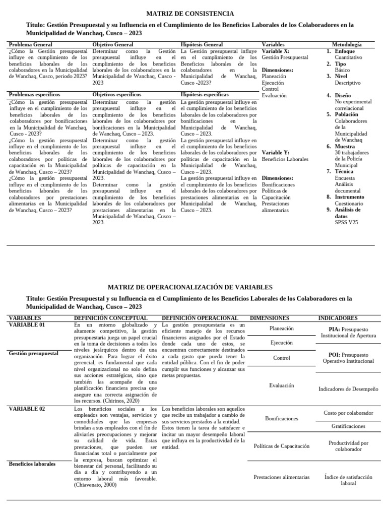 MATRIZ DE CONSISTENCIA Y MATRIZ OPERACIONAL (Modificado) | PDF | Business | Economias