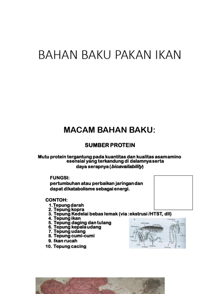 Sumber Protein dalam Pakan Ikan | PDF