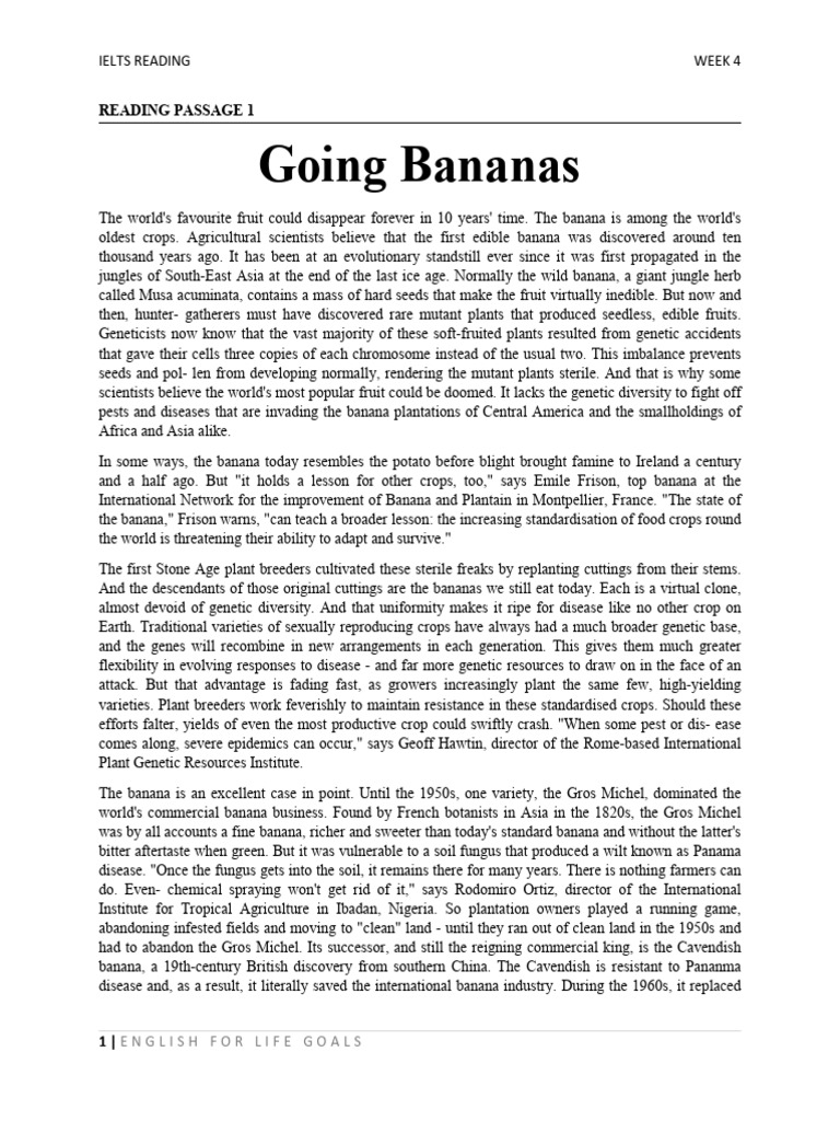 test 8-Banana-recent (1) | PDF | Banana | Pilgrimage