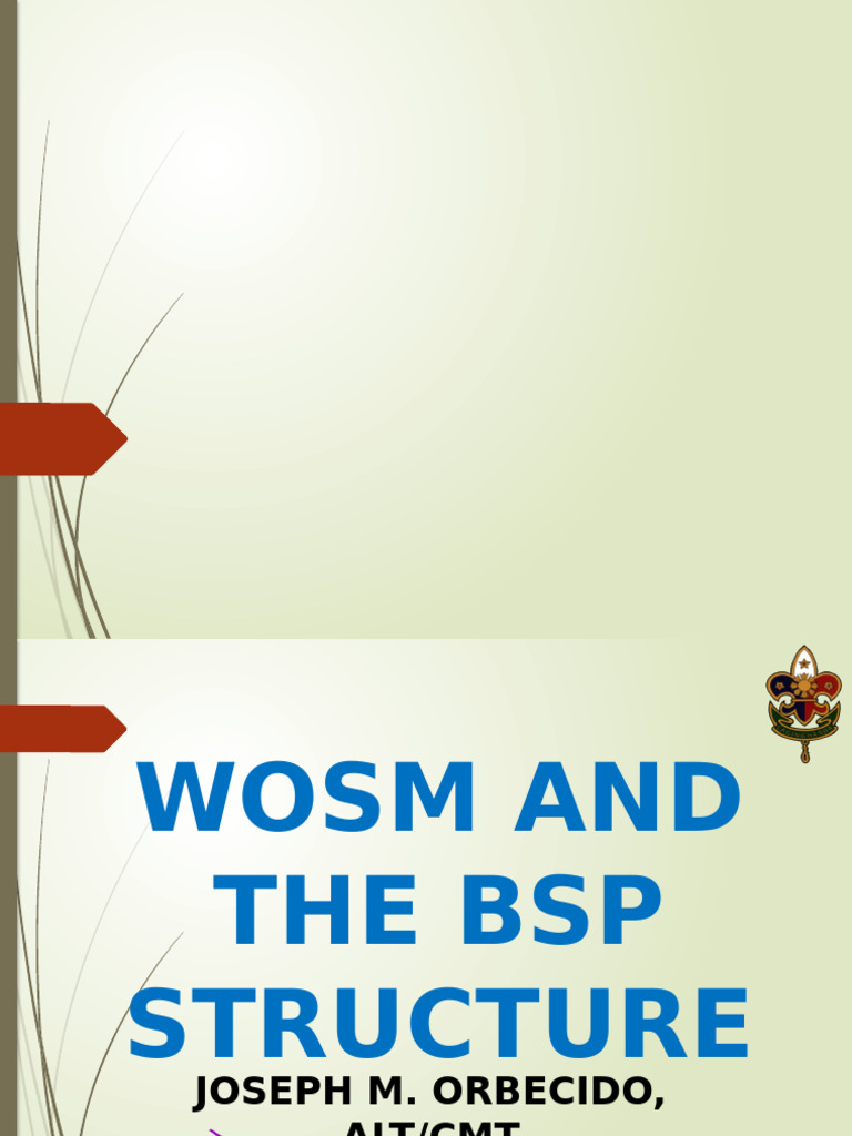 Wosm and The BSP Structure | PDF | Scouting | Outdoor Recreation