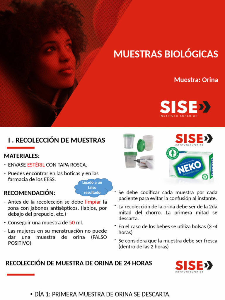 Presentaci N 1 Muestra Orina | PDF | Biología | Especialidades Medicas