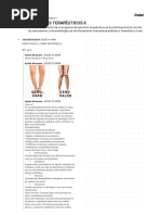 Ejercicios para Rodillas Valgas, Como Enderezar Piernas, Rodilla en X ...