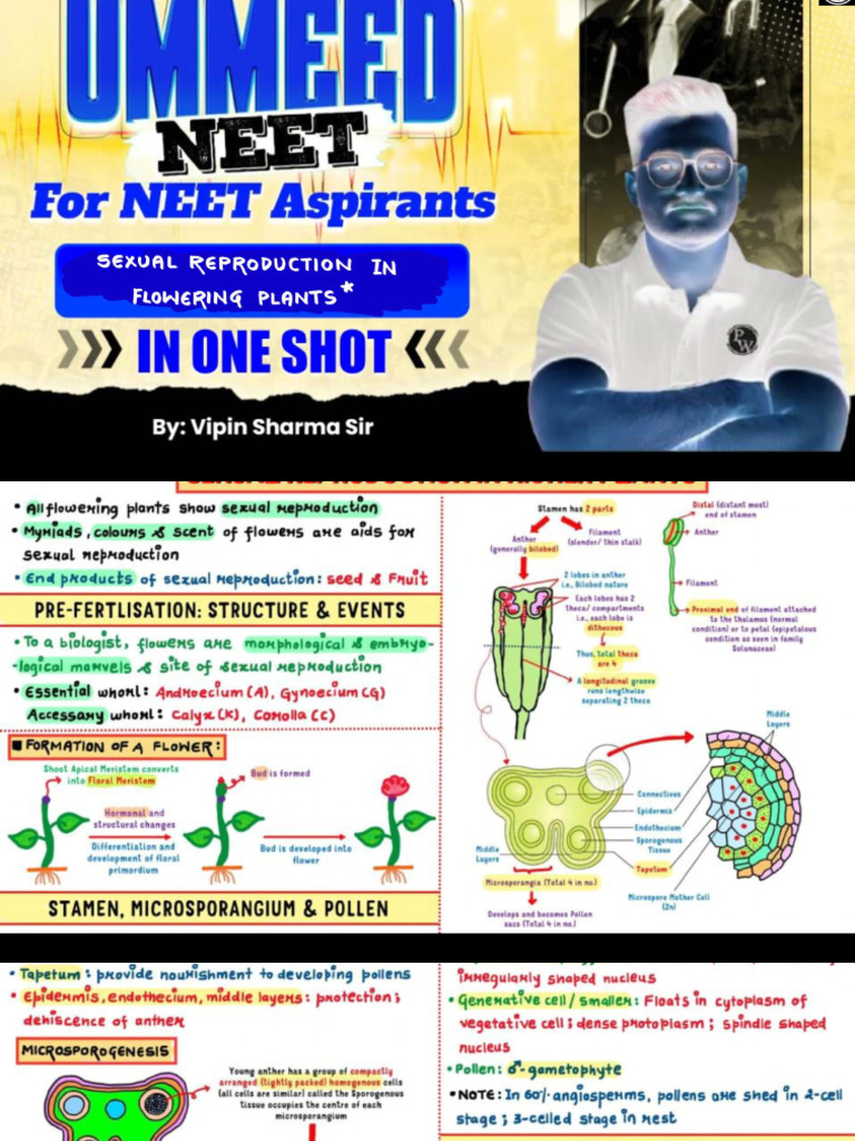 Bct 1 Pdf
