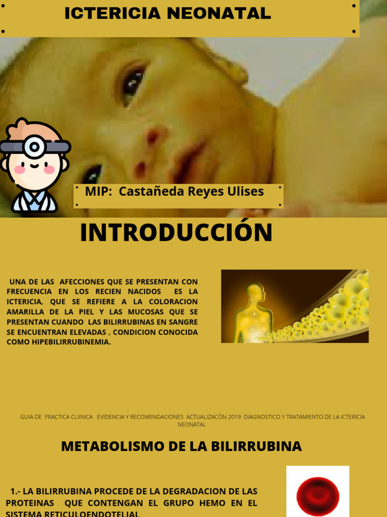 Ictericia Neonatal .PDF | PDF | Especialidades Medicas | Medicina CLINICA
