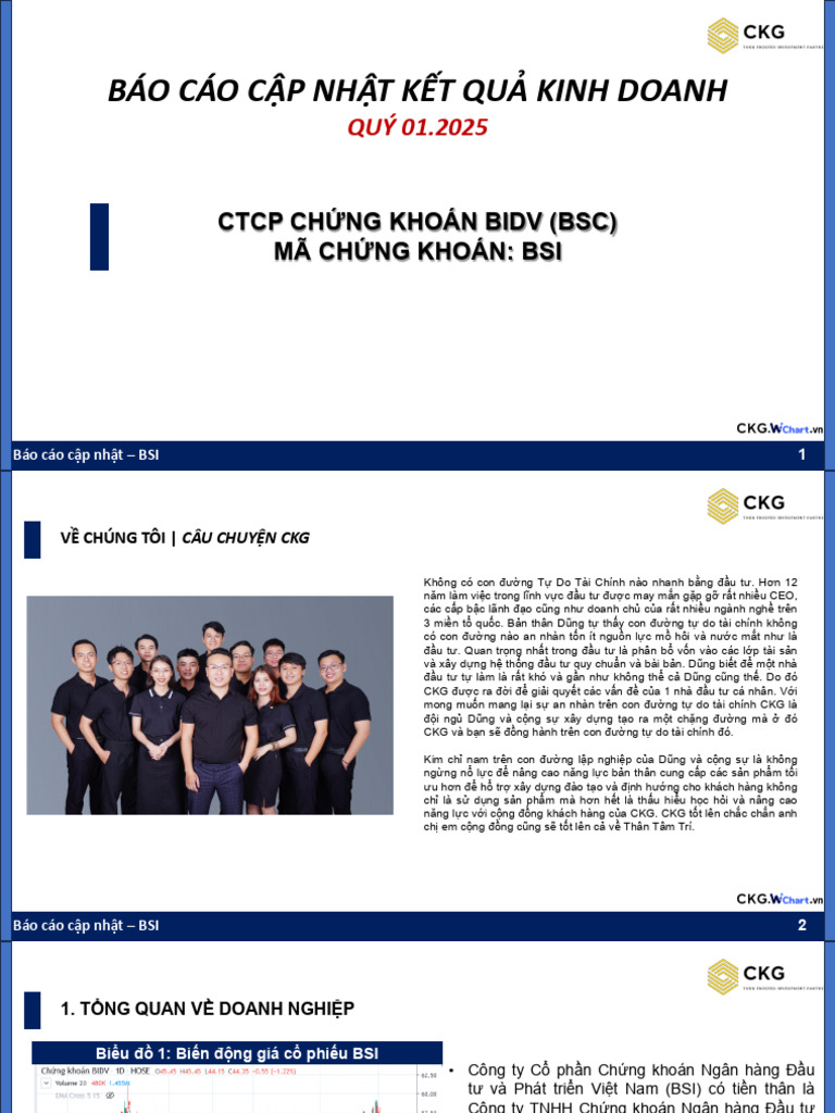 BSI - CTCP Chứng khoán BIDV - Q1.2025 | PDF