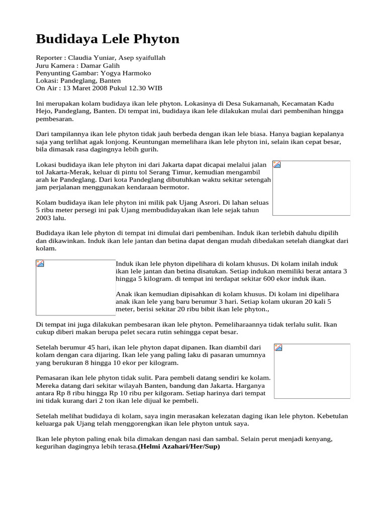 Budidaya Lele | PDF