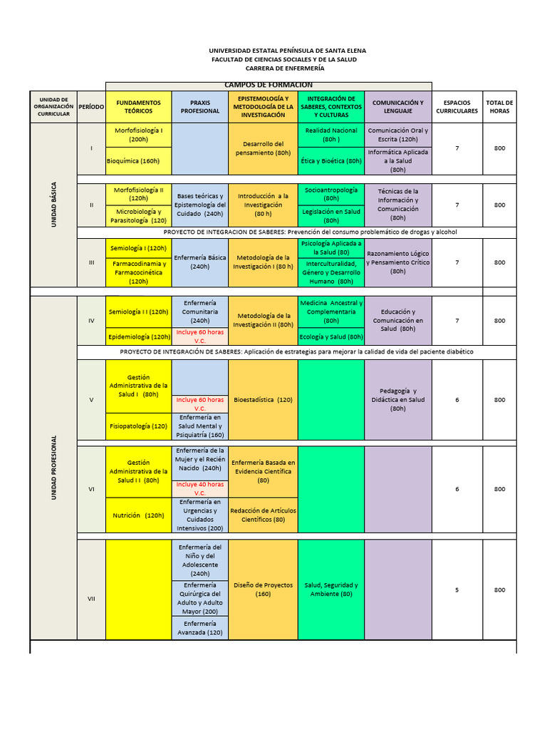 Enfermeria - Malla Curricular | PDF | Enfermería
