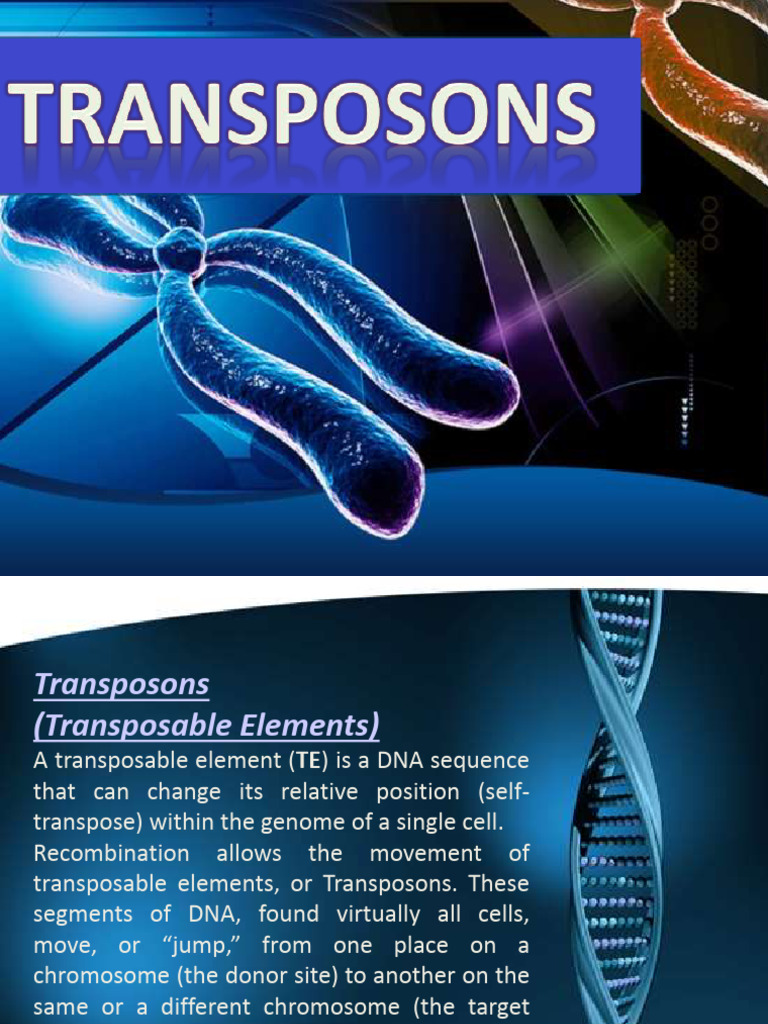 Transposons, Transposable Element, Bacteria | PDF | Transposable Element | Genome