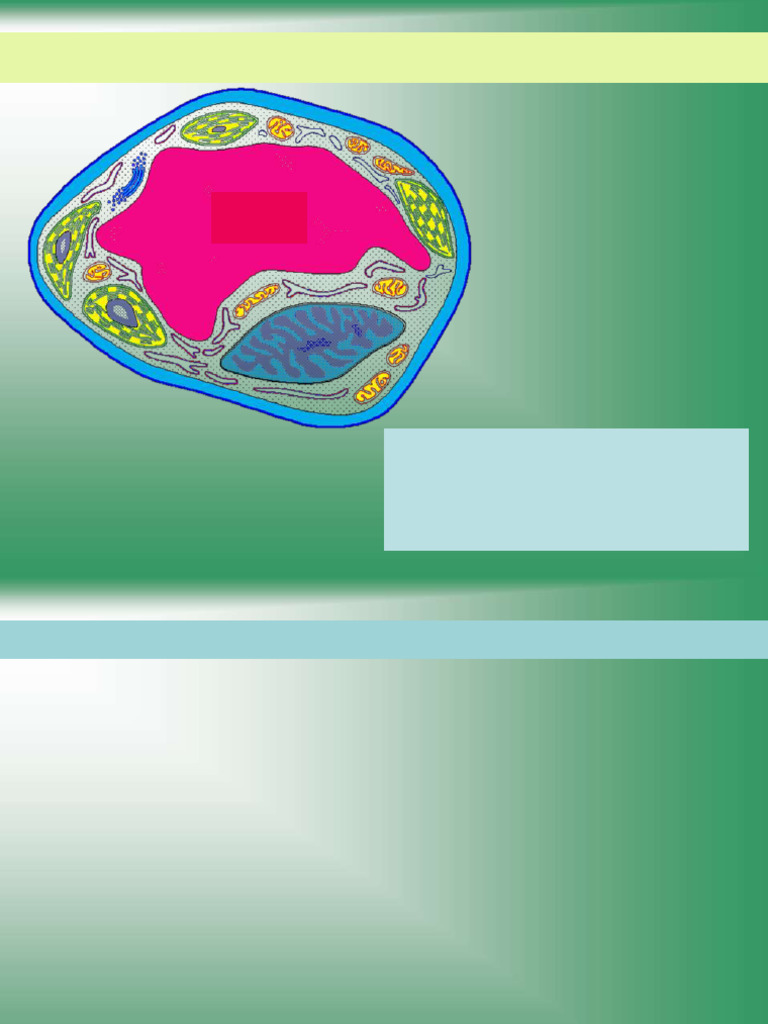 Cell, Cell Organization and Their Functions With Assignment (Module - I) | PDF | Cell (Biology ...