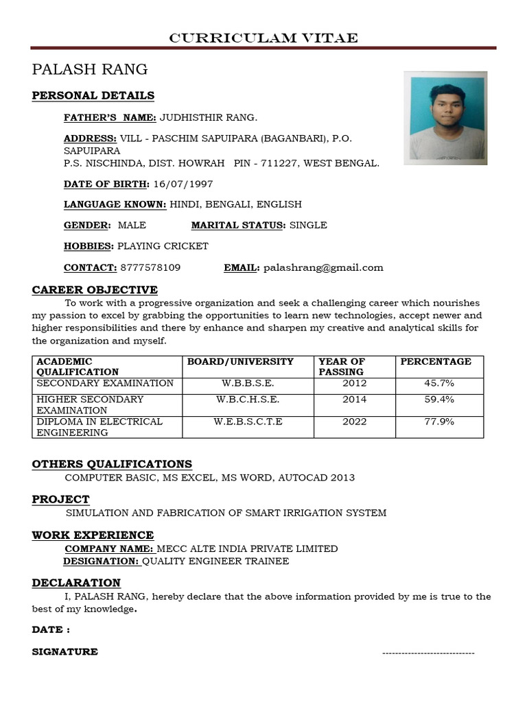 Palash Resume | PDF