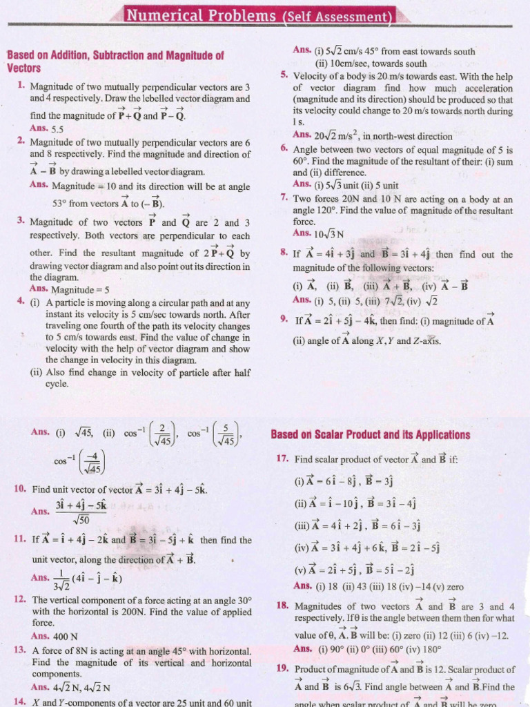 Work Sheet On Vectors - Xi Physics | PDF