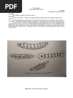 Bao Game Rules and Tactics | PDF | Traditional Board Games ...