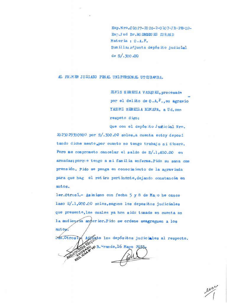 Exp. 01027-2024-2-0107-JR-PE-02 - Anexo - 32029-2025 | PDF