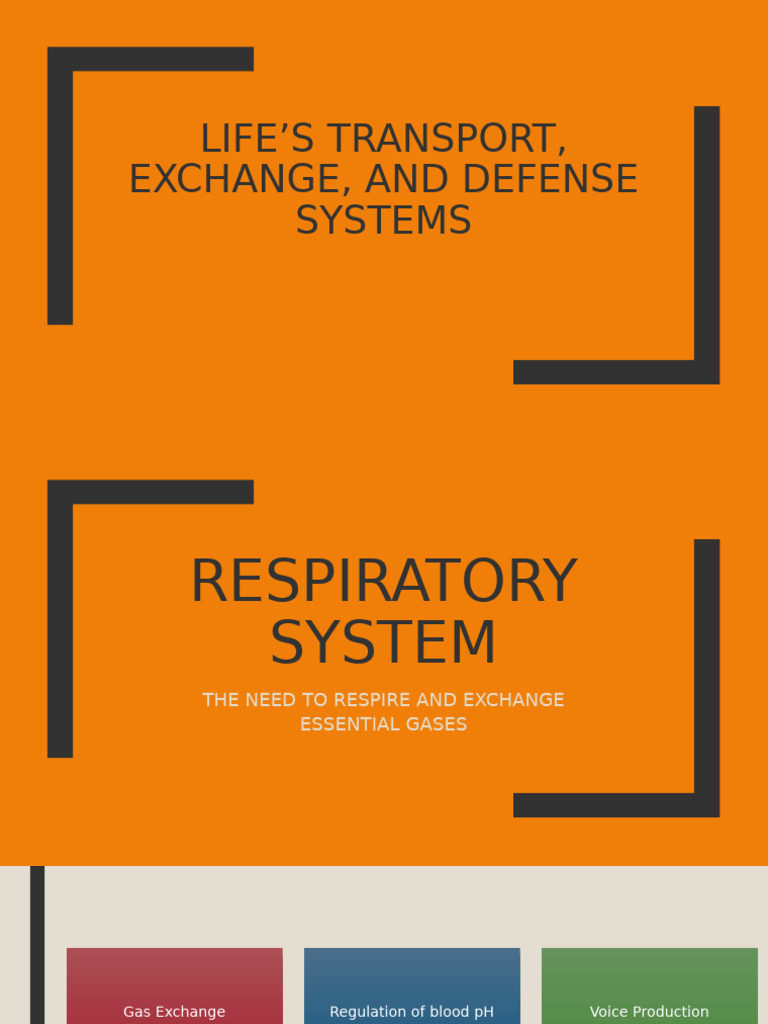 Respiratory and Circulatory 1 | PDF | Lung | Circulatory System
