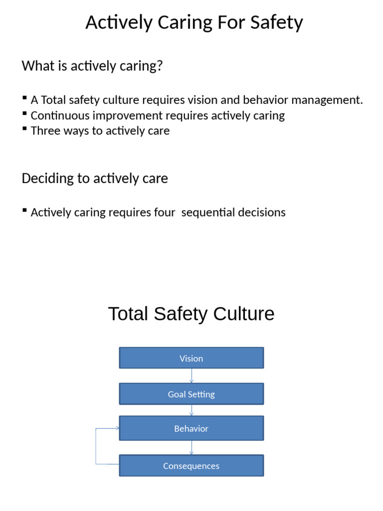 7 Behavior Based Safety (BBS) Actively Caring For Safety | PDF ...