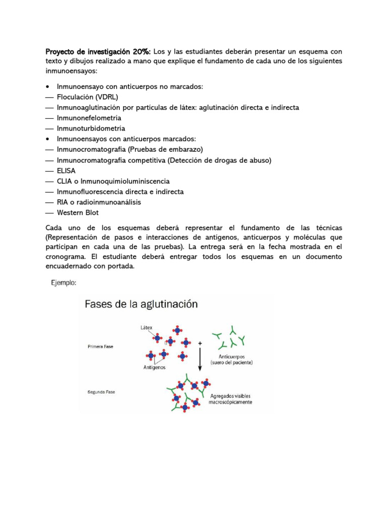 Serología | PDF | Anticuerpo | Elisa