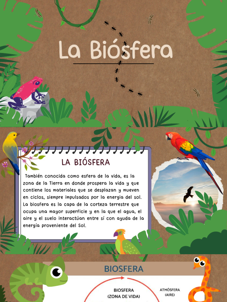 Importancia y componentes de la biósfera | PDF | Tierra | Clima