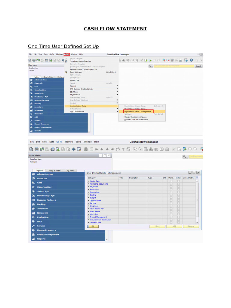 Cash Flow Statement | PDF