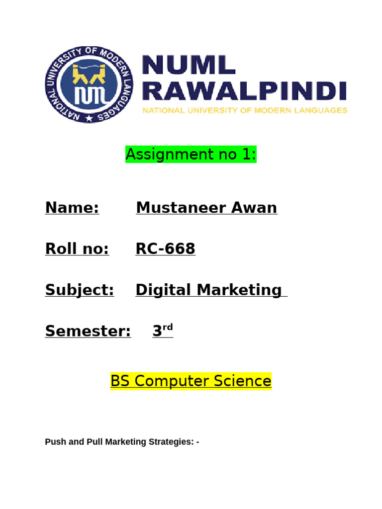 Digital Marketing Assignment 1 | PDF | Marketing | Digital Marketing