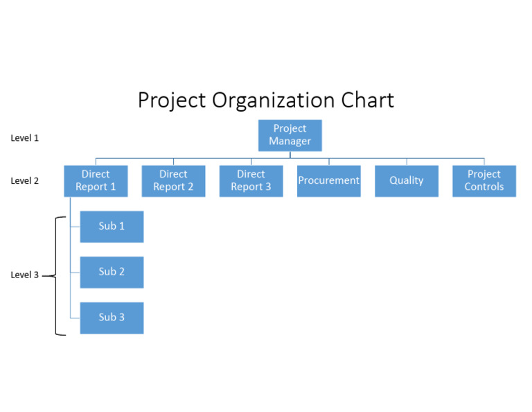 Project Organization Chart Template (1) | PDF