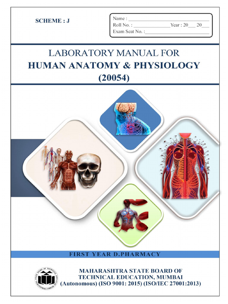 Human Anatomy & Physiology | PDF | Epithelium | Tissue (Biology)