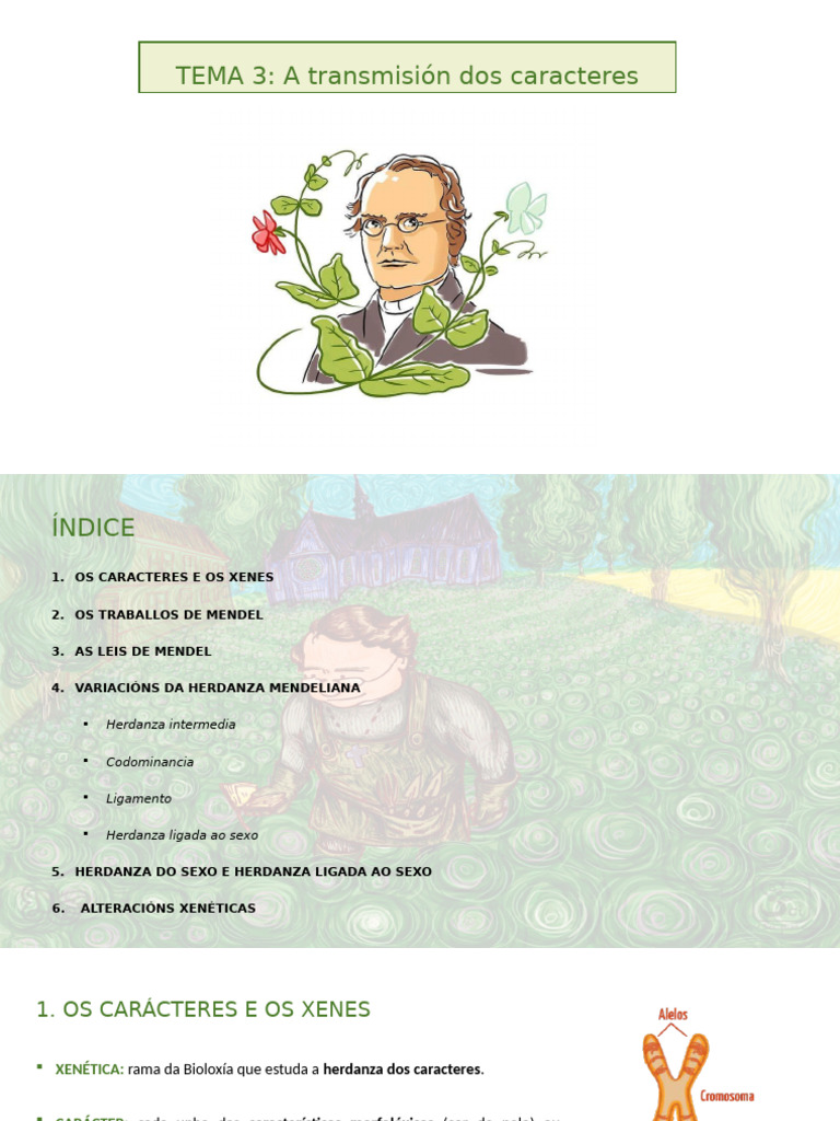 Tema 3. A Transmisiã N Dos Caracteres 4 | PDF