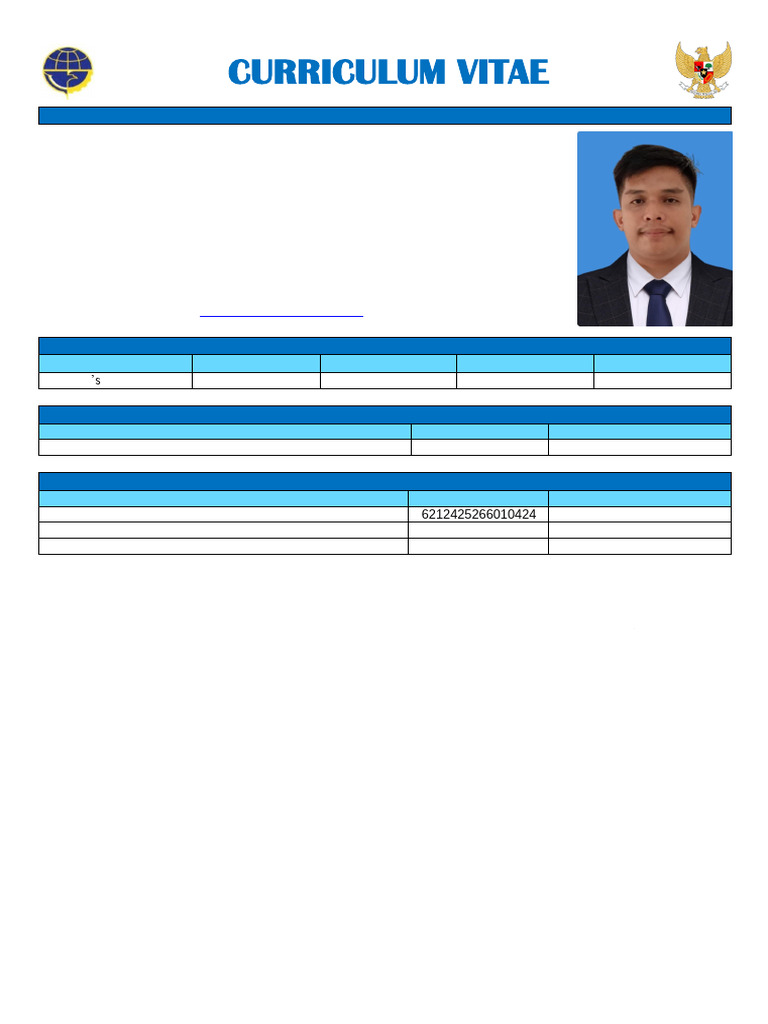 CV Faisal | PDF