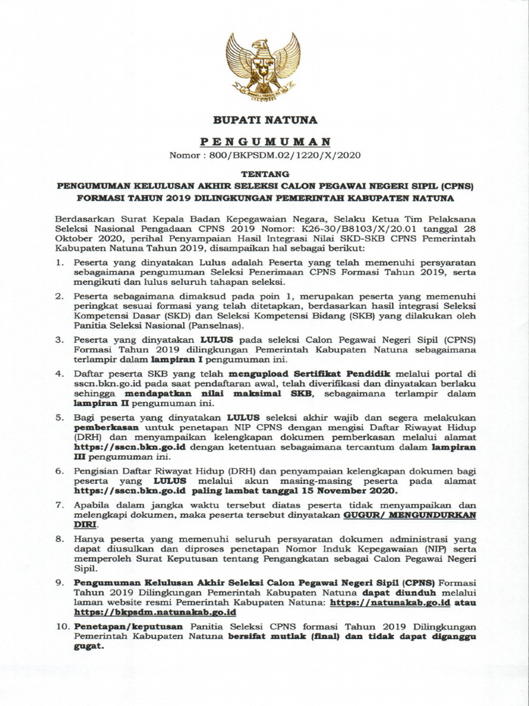 Pengumuman Kelulusan Cpns Formasi 2019 Kab.natuna 20201030-Pengumuman | PDF