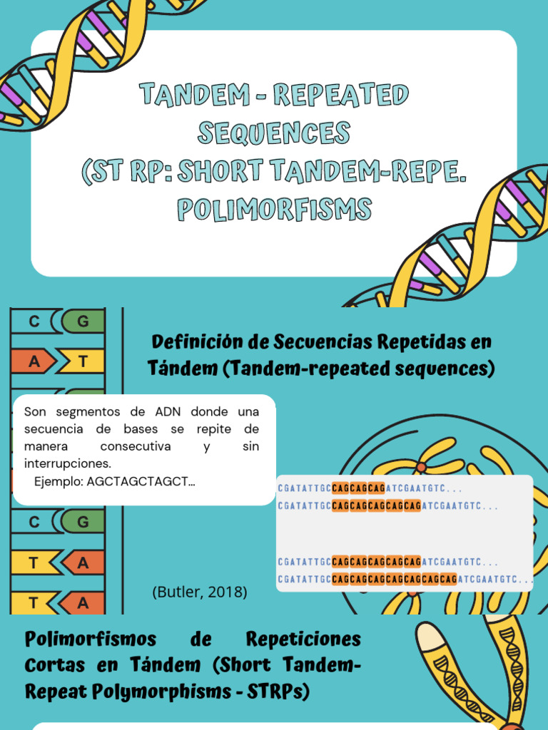 Polimorfismos de Repeticiones Cortas en Tándem | PDF | Microsatélite ...