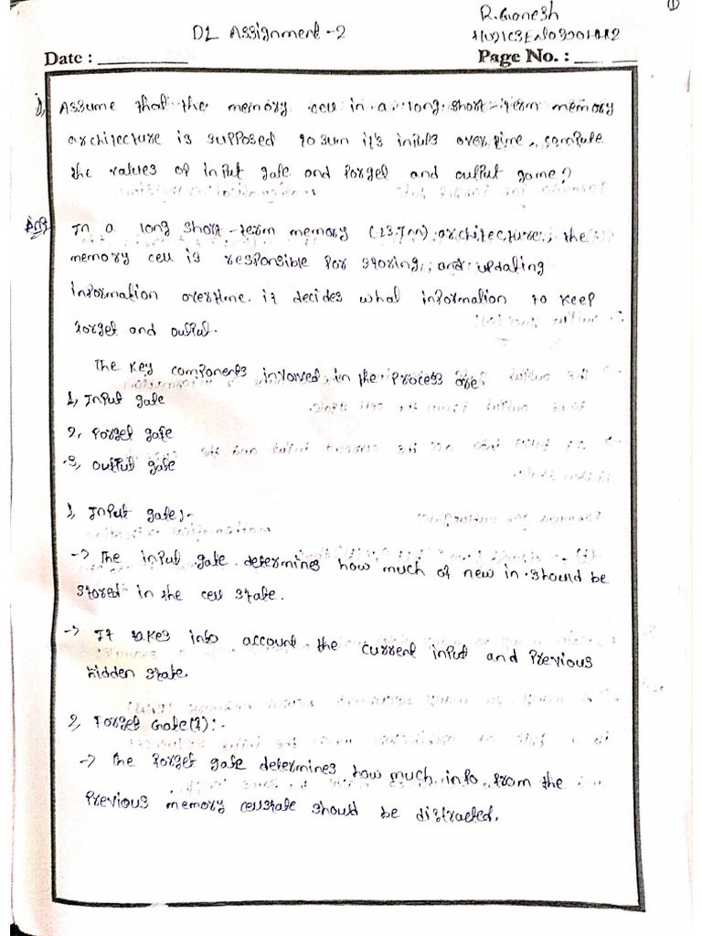 DL Assignment - 2 | PDF