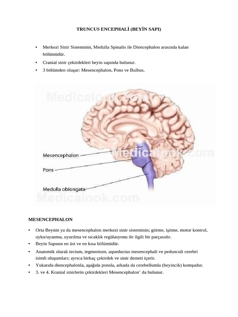 TRUNCUS ENCEPHALİ Ahmet Son | PDF