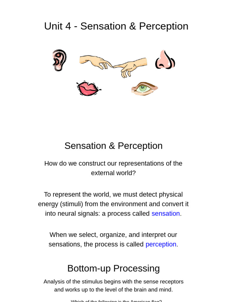 CH03 - Sensation and Perception | PDF | Taste | Senses