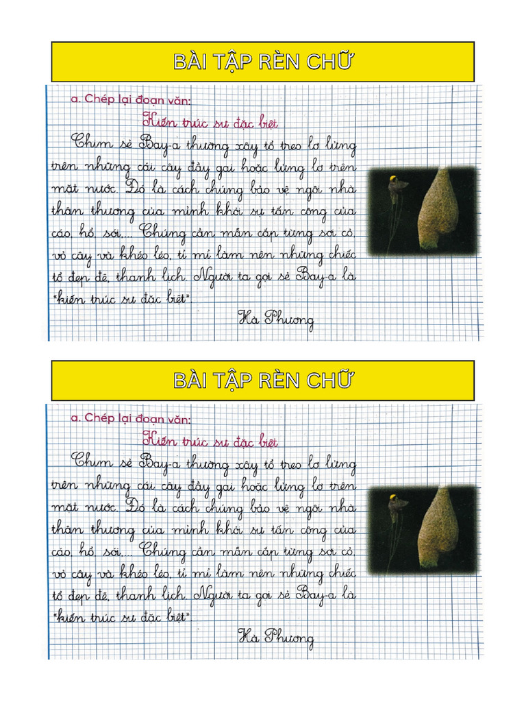 3c 2425- VLA.pdf (3) | PDF