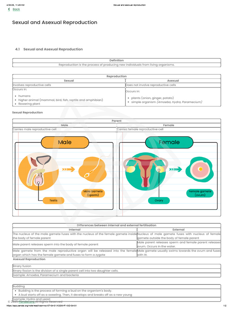 Sexual vs Asexual Reproduction Explained | PDF | Sexual Reproduction ...