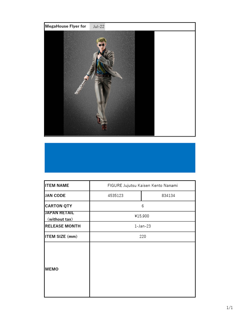 Flyer | PDF