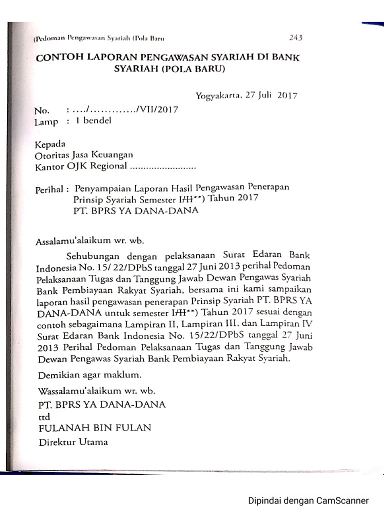 Contoh Pelaporan Pengawasan DPS | PDF