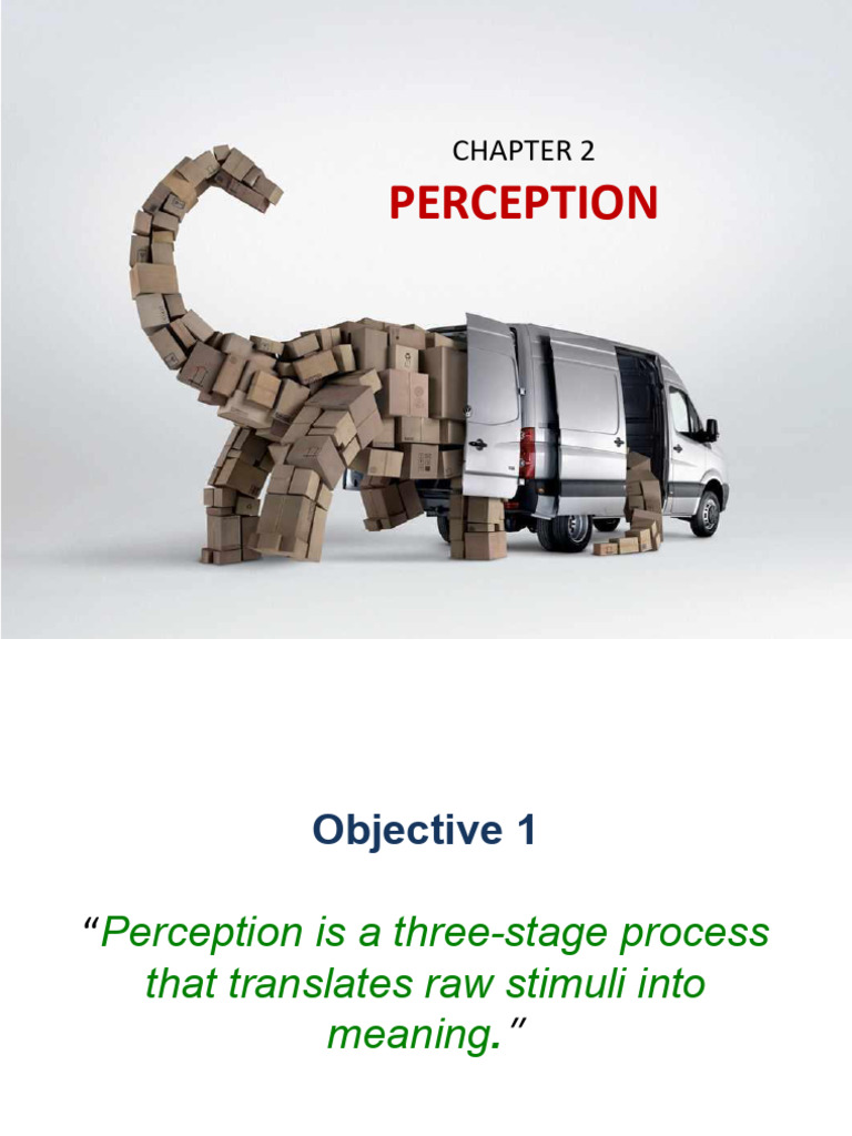 Chapter 2 - Perception | PDF | Perception | Senses