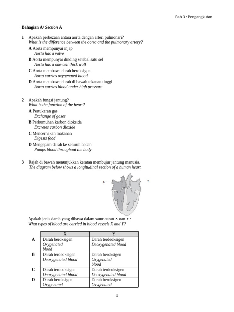 Praktis Formatif 3 | PDF