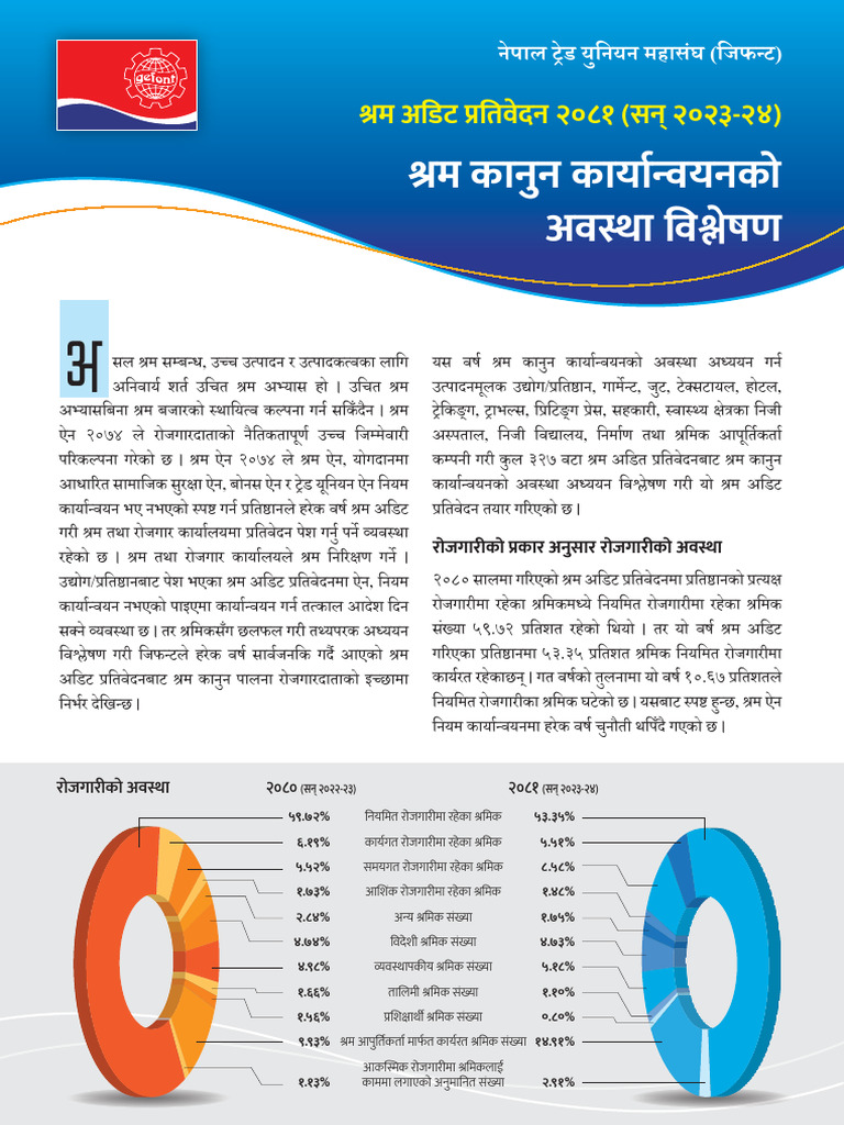 Labour Audit Factsheet 2024 | PDF