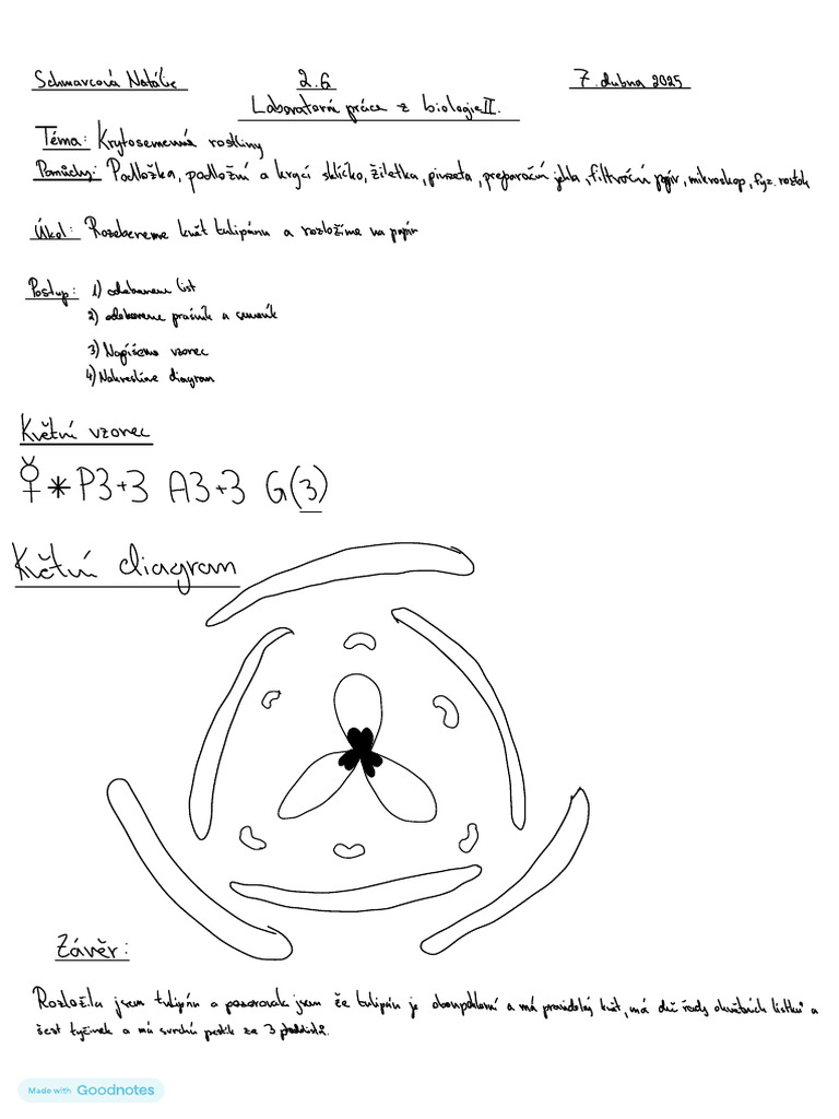 7.4. Protokol 4 | PDF