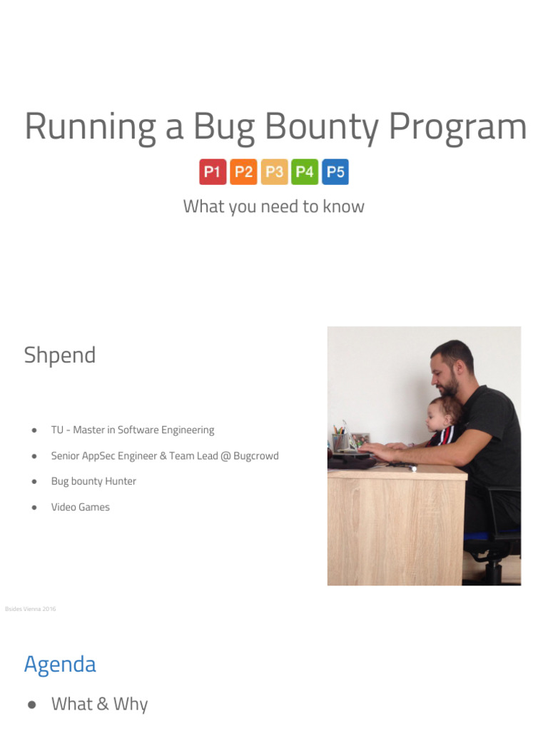 Bug Bounty Program Insights | PDF | Computing | Software