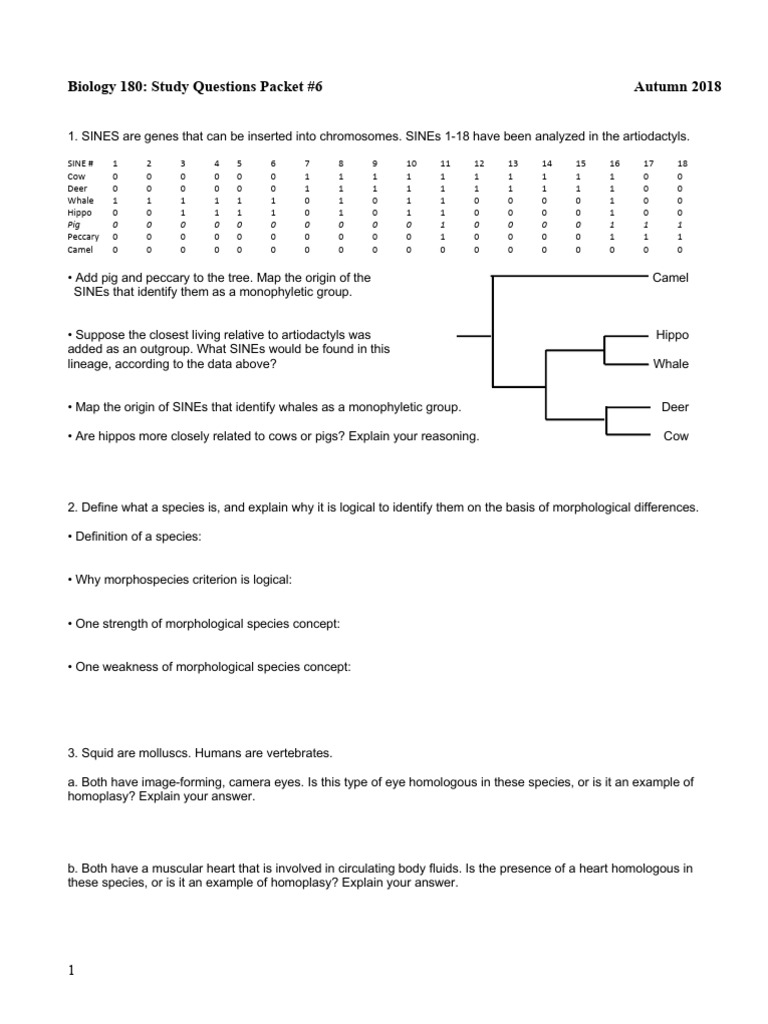 Artiodactyl Evolution Study Questions | PDF | Evolution | Homology ...